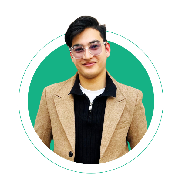 Naseeb Dangi - Software Engineer & Developer Portfolio